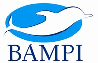 Bampi spa | Ediltecnico