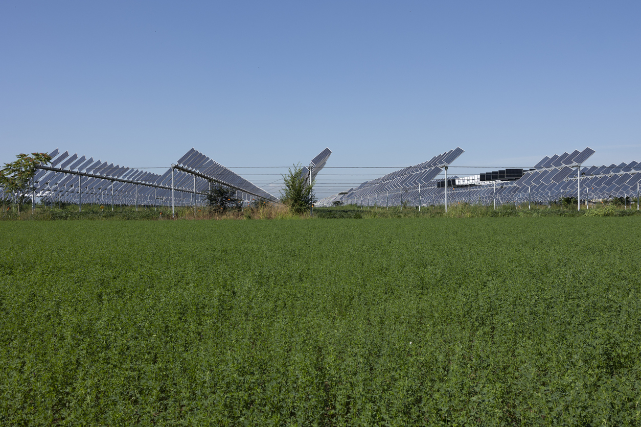 Quanto costa un impianto agrivoltaico e quali sono i guadagni ...