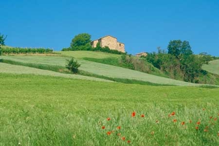 Catasto fabbricati rurali, ecco come si presenta la domanda | Ediltecnico